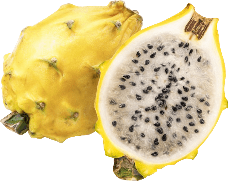 FREEZE-DRIED PITAHAYA – Tastybites